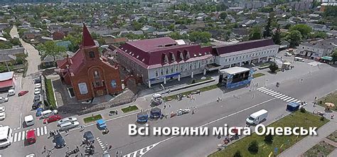 Новини Полісся Поліцейські встановили двох чоловіків причетних до порубки дубів у