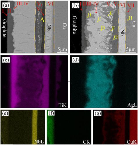 Microstructure Of The Graphitecu Joint Bonded With Tiagnb Composite