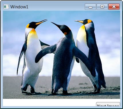 Dealing With Content Overflow The Wpf Scrollviewer Ged Mead S Blog Vbcity The Net