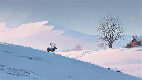 4k For Desktop Wallpapers 514 Images Page 8