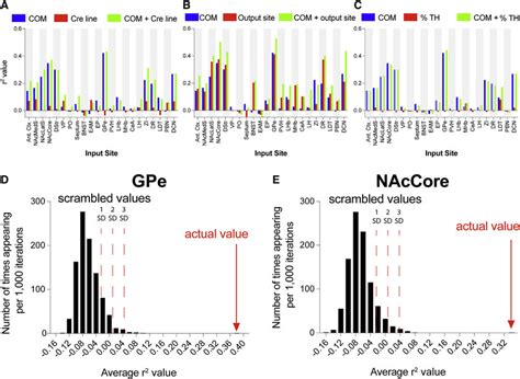 Statistical Analysis Of Input Biases To Vta Neurons A Linear