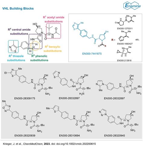 Vhl And Crbn Are The Two Most Popular E3 Ligases Being Recruited By