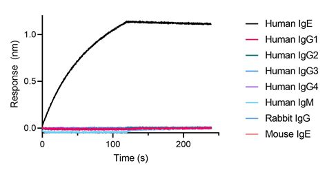 Nano Captureligand® Anti Human Ige Recombinant Vhh Biotinylated Proteintech