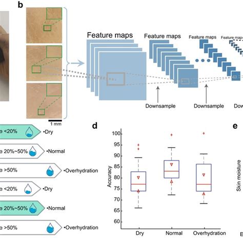 Portable Health Monitoring With The Integrated Microscope In A Cell