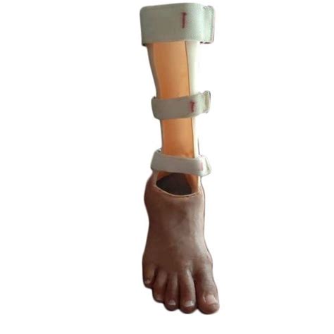 Prosthetics Foot Artificial Foot Latest Price Manufacturers And Suppliers