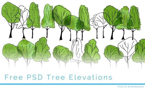 Free Tree Elevations For Sketchup Architecture Sketch Sketches Tree