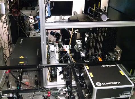 Optogenetics Optogenetics Research Drives New Laser Technologies