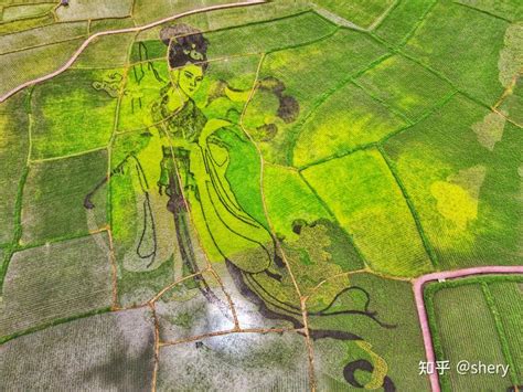 西江月·女伴同寻邢江乡村 知乎