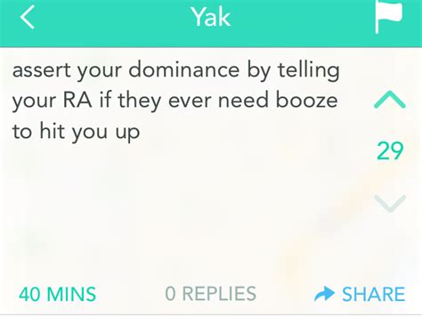 The Best Of Assert Your Dominance