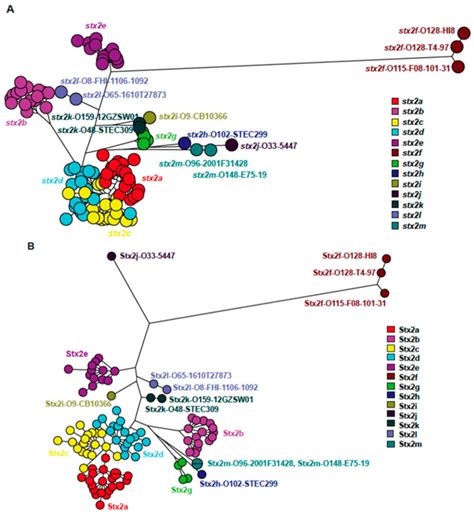 Characterization Of Clinical Escherichia Coli Strains Producing A Novel