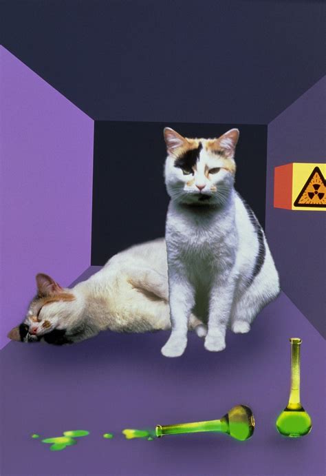 How Schrödinger Could Have His Cat And See It Too Cosmos Magazine