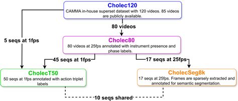 论文审查 Cholecinstanceseg A Tool Instance Segmentation Dataset For