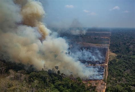 A Damaged Amazon Rainforest Is A Net Contributor To Global Warming