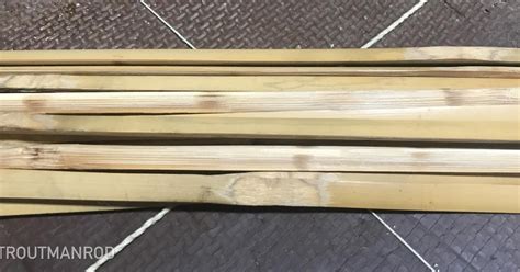 釣りのあとさき Quad 794 荒削り