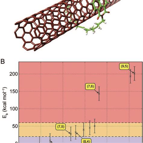A Energy Minimized Molecular Model Of A Mint Architecture Featuring