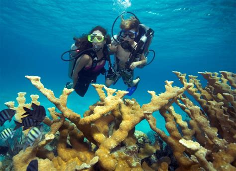 Scuba Diving Cozumel Padi At David Clinton Blog