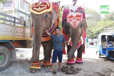 မန္တလေး Tiktok Cele တွေ ရဲ့ ခြိမ့်ခြိမ့်သဲ အလှူတော်မင်္ဂလာ