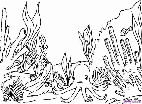 Pinte O Recife De Coral Para Colorir Imprimir E Desenhar Colorirme