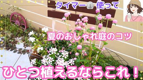 【ガーデニングおしゃれ庭】夏 暑さに強いお花で寄せ植え【楽】10分でガーデニング ガーデニング初心者さんにも簡単！ Youtube