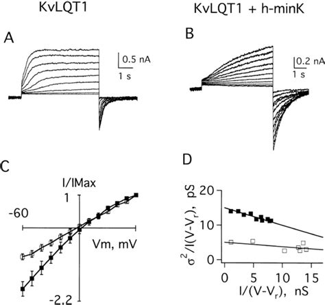 Currents Recorded In Excised Inside Out Patches Containing Kvlqt1 Or