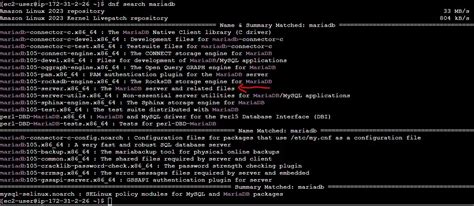 How To Install Mariadb On Amazon Linux 2023 Cloudkatha