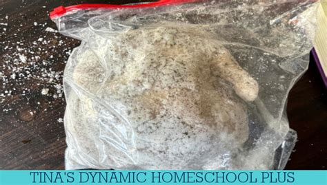 The Ancient Art Of Mummifying How To Mummify A Chicken