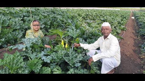 चायनीज वाळकाची कापडावर थापून केलेली धपाटी कधी खाल्यासा का रवा तुमी मग