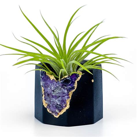 Black Amethyst Geode Planter Raw And Tumbled Crystals Chips Gold