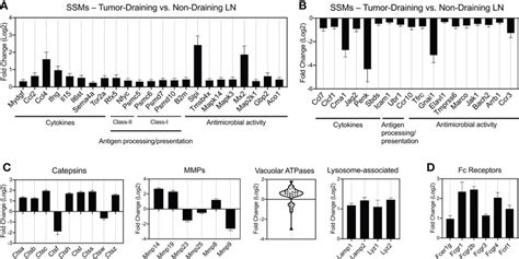 Confirmation Of Novel Ssm Markers In Regional Lymph Nodes From Head