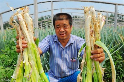 都在說農產品上行和下行，你可知道什麼是上行或下行？ 每日頭條