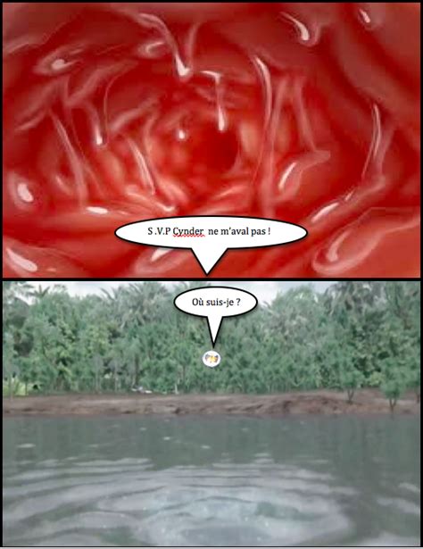 Cynders Vore Idea P10 By Enderfree On Deviantart