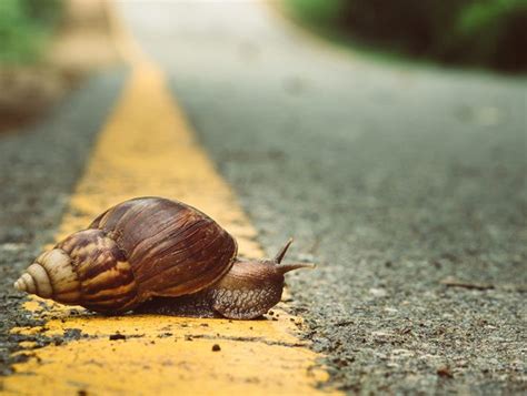 Vpn Workspace And User Experience Third Octet