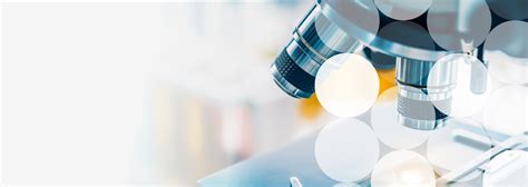 Stain Interpretation