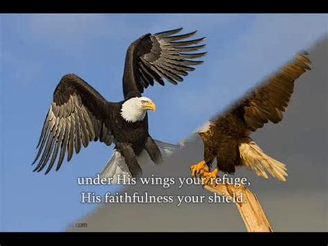 Eagles Wings Josh Groban Bing Videos