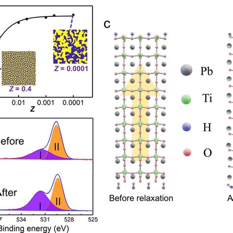 Positive Reinforcement Of The Domain Self Organization Process By Download Scientific Diagram