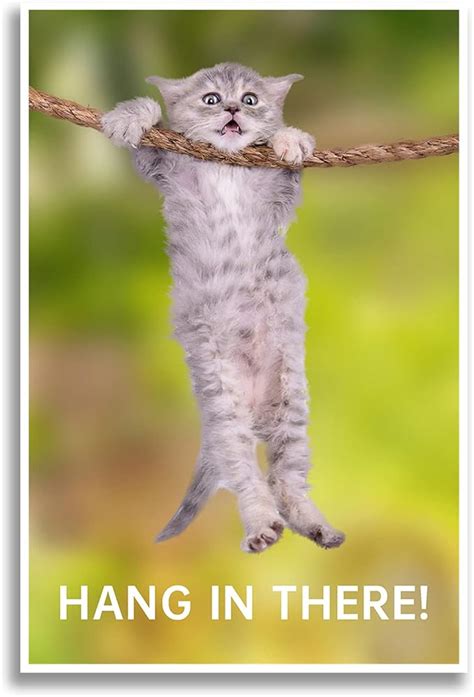 Inspirational Quote Wall Art Hang In There Cat Poster