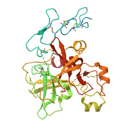 Rcsb Pdb 4bxs Crystal Structure Of The Prothrombinase Complex From