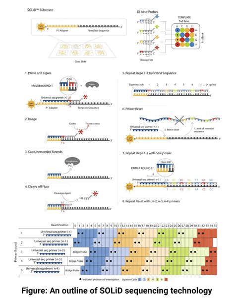 Solid Sequencing Principle Steps Applications Diagram