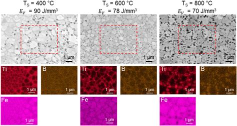 Sem Bse And Eds Characterisation Of Printed Fe Tib 2 Samples At A T S