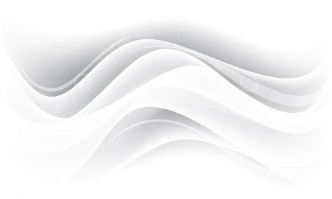 Abstract Soft Grey White Wave Curve Background Vector Illustration
