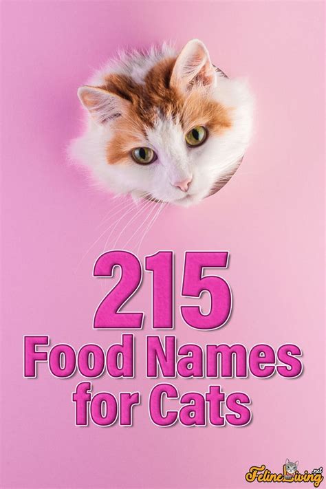 List Of Food Names For Cats At Julian Thelma Blog