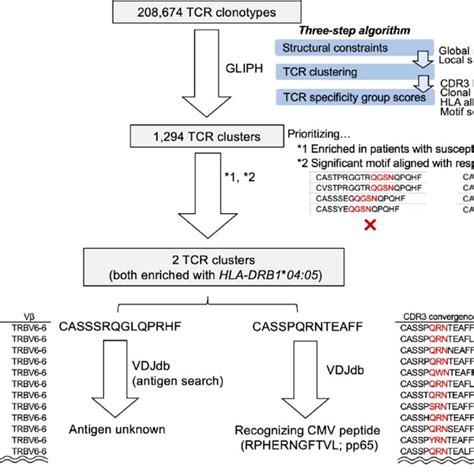 T Cell Receptor Tcr Repertoire Diversity A Comparison Of Tcr