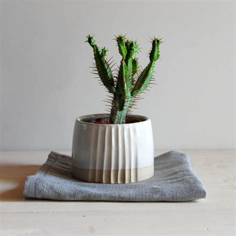 Cactus Pot Ceramic Plant Pots Plant Holders Small Planter