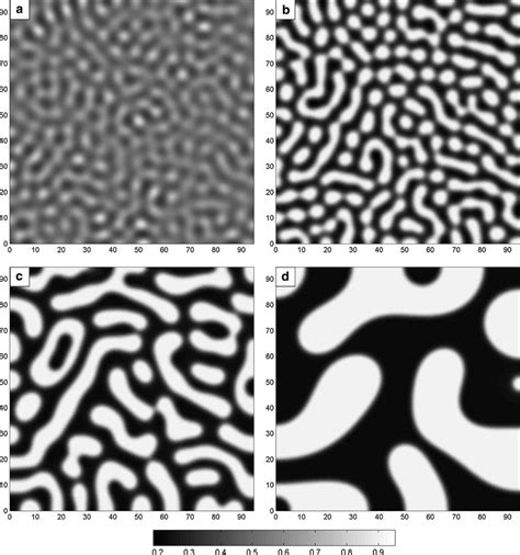 Isotropic Diffusion Different Stages Of Isotropic Mineral Growth Download Scientific Diagram