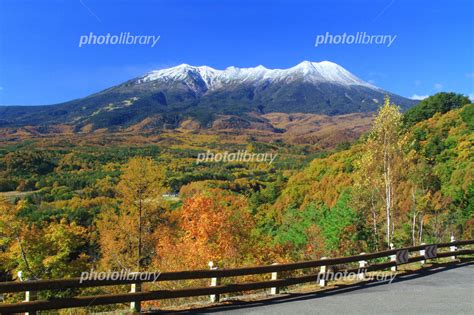 Photolibrary