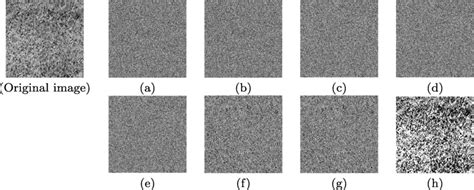 Bitplane Decomposition Of ‘grass Where Msb Plane Is Significant Download Scientific Diagram