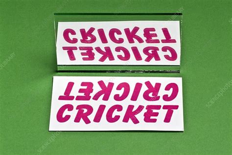 Reflection Symmetries Stock Image C007 0873 Science Photo Library