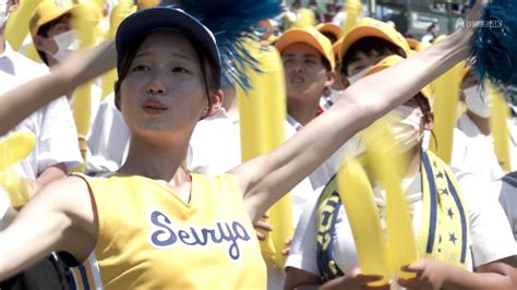 【画像】甲子園に一切興味ないくせに汗だくチアjkちゃんだけ見てるやつww Jkちゃんねる 女子高生画像サイト