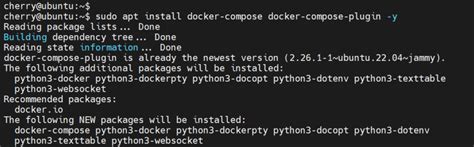 Portainer Docker Compose Tutorial Cherry Servers