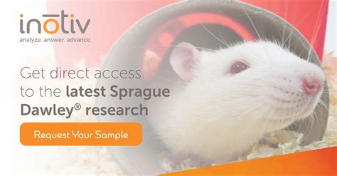 The Sprague Dawley® Sd Rat A Trusted Resource